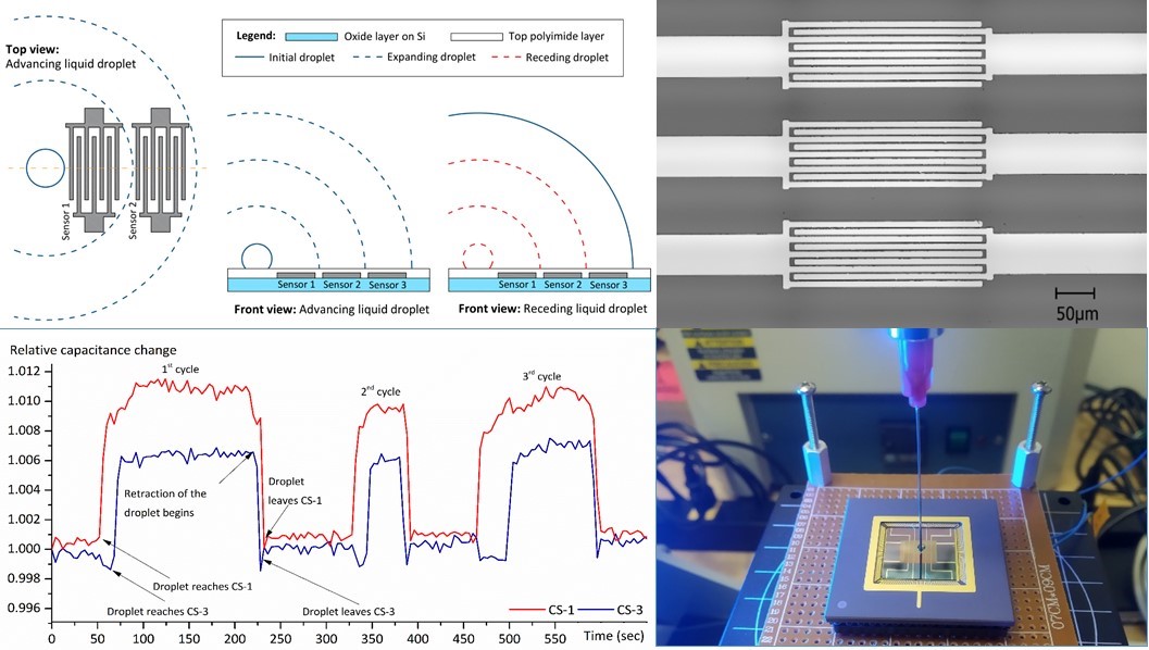 Dr. Arden L. Moore :: Research